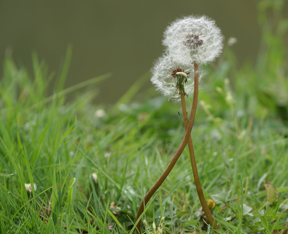 About us | Albanian Trip